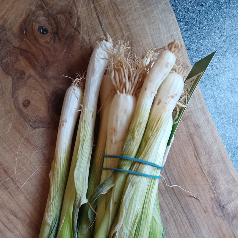 Spring Onion Rescue – WastedKitchen