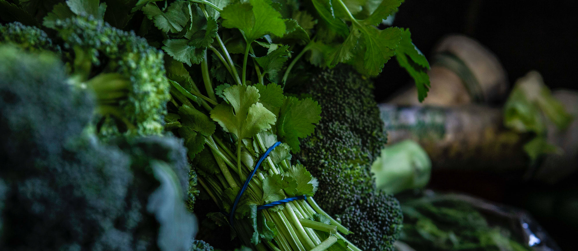 Wasted Kitchen - Food with Provenance and Purpose – WastedKitchen