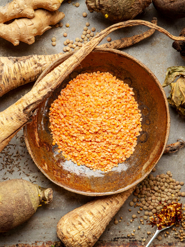 Wasted Kitchen - Food with Provenance and Purpose – WastedKitchen